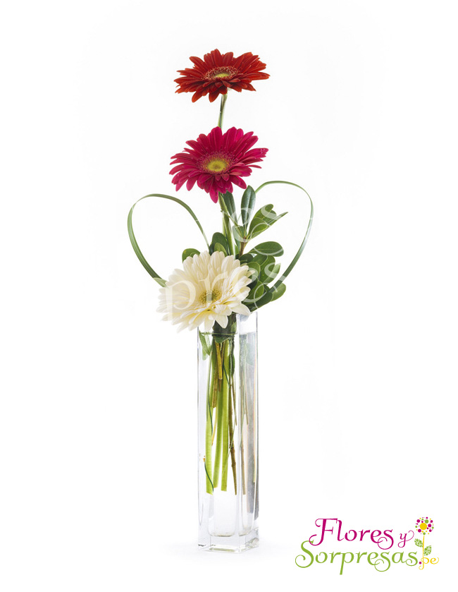 🥇 PRODUCTO PREMIADO: Florero de 3 gerberas | Florerias en Lima Peru